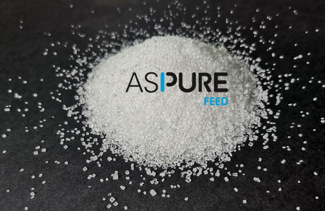 ASPURE GMP+: an alternative nitrogen source - Stockmeier France