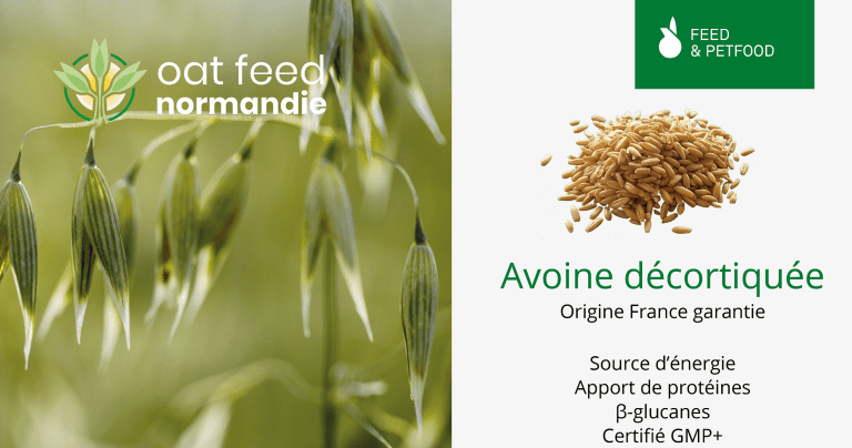 L'avoine décortiquée, une solution naturelle riche en nutriments ...