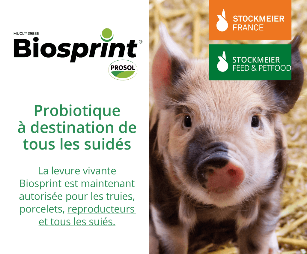 Biosprint : la solution probiotique pour l'ensemble des suidés - STOCKMEIER France